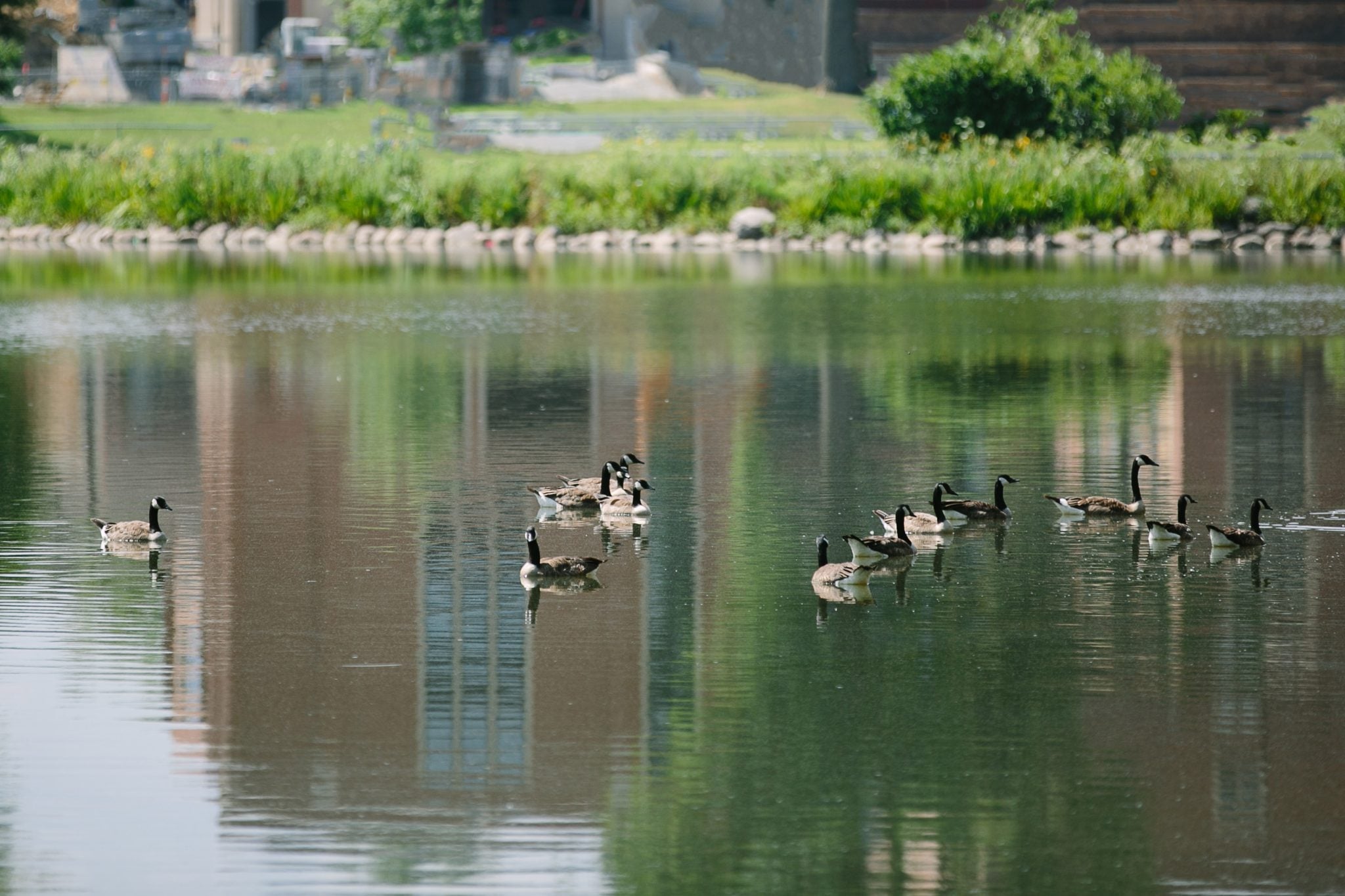 Lake Ellyn Boathouse • Glen Ellyn Park District