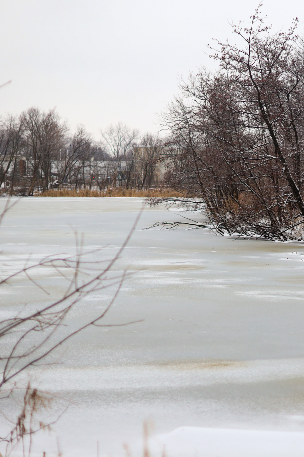 Trail Recommendations • Glen Ellyn Park District