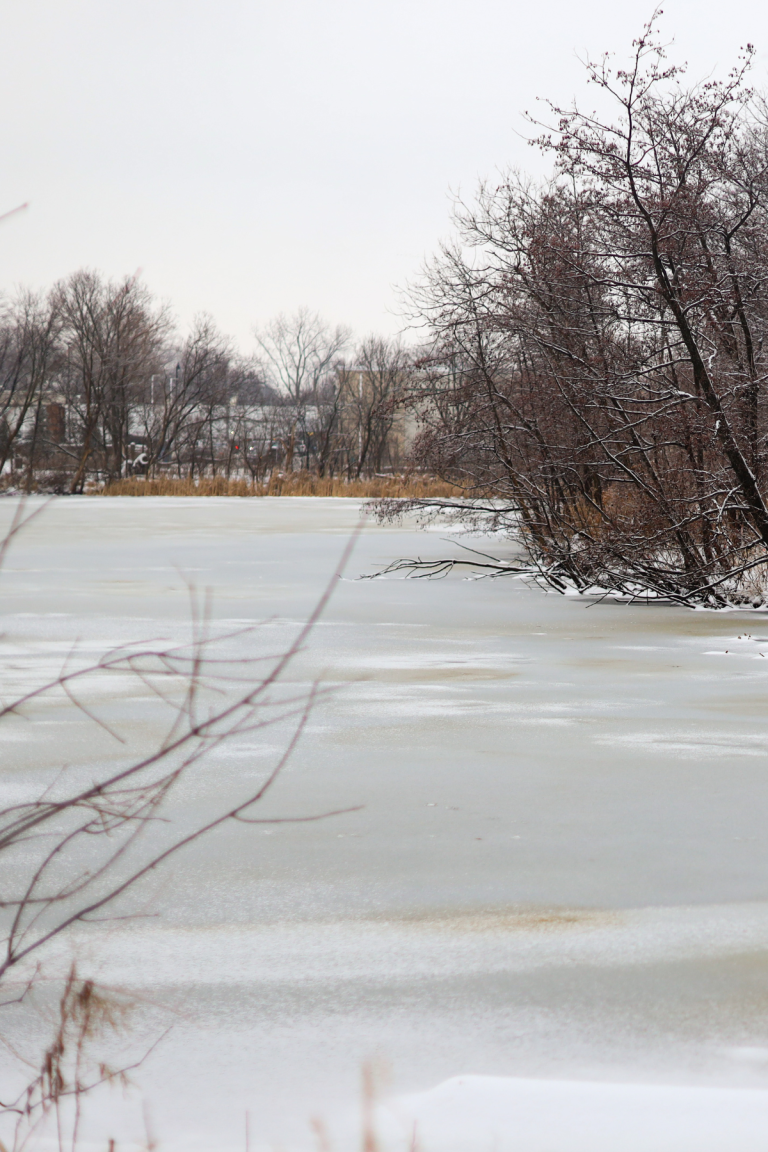 Trail Recommendations • Glen Ellyn Park District