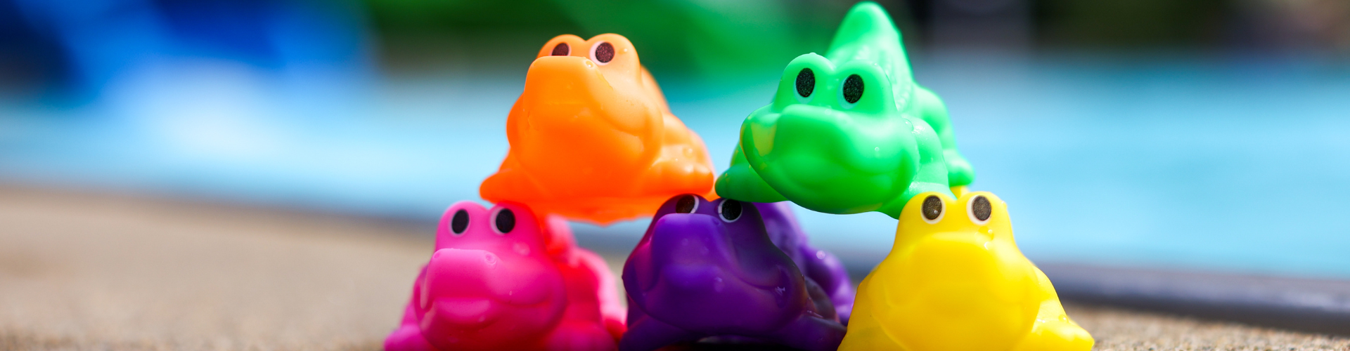 Foundation's Gator Race • Glen Ellyn Park District